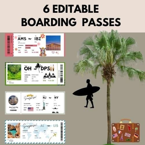 6 Editable boarding passes | Flight Ticket | Surprise Gift | Plane ...